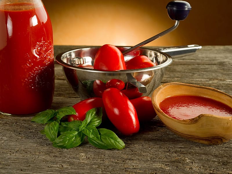 Best 15 Food Mills on the Market