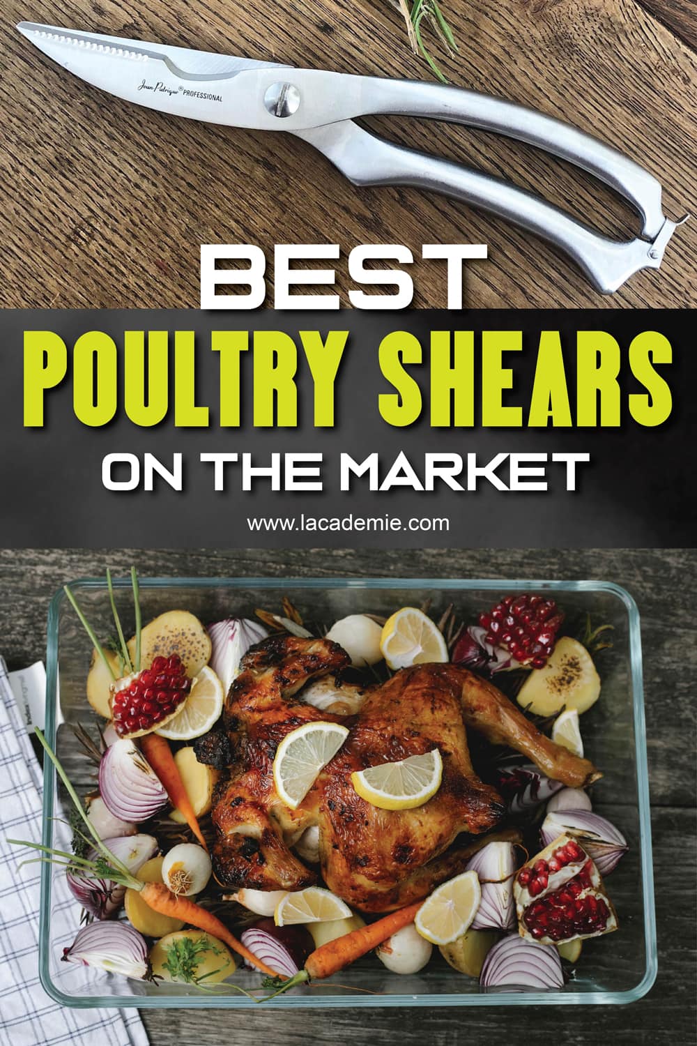 Discover the 10 Best Poultry Shears