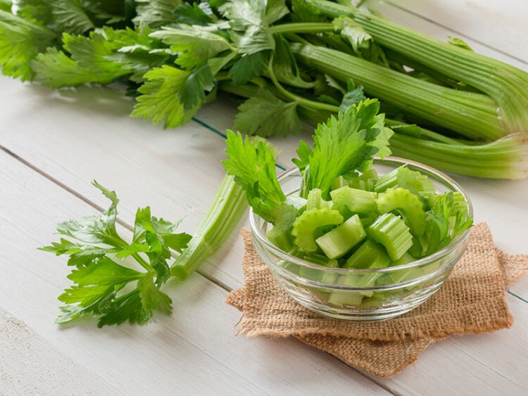 15 Celery Varieties: Detailed Guide to Explore