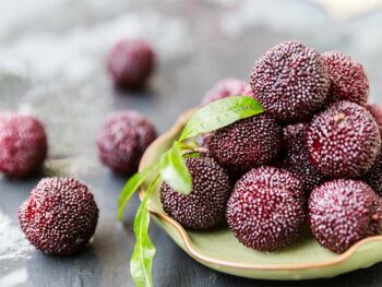 35 Foods That Start with Y: Delicious Discoveries