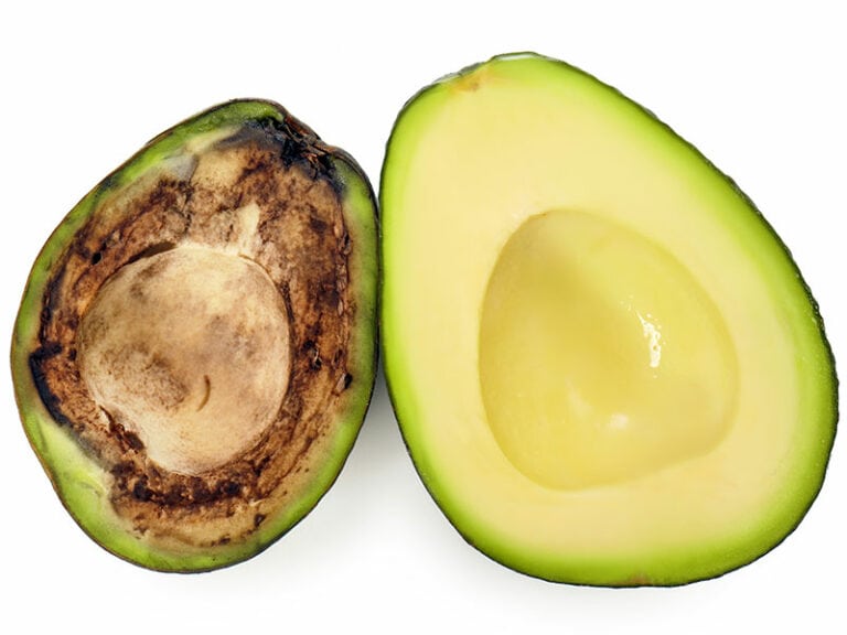 What Does Avocado Taste Like? Discover Its 6 Key Features