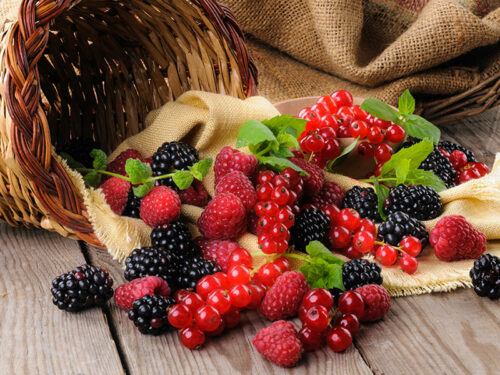 28 Fruits That Start With R: Taste, Uses, and More (2024)