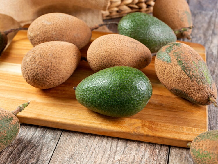 What Does Avocado Taste Like? Discover Its 6 Key Features