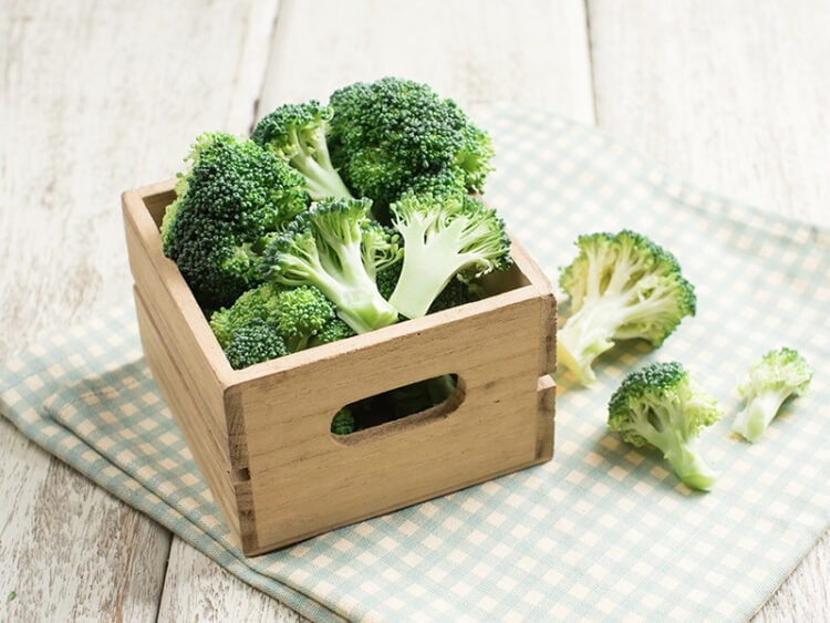 How to Store Broccoli? Explore 5 Most Effective Methods