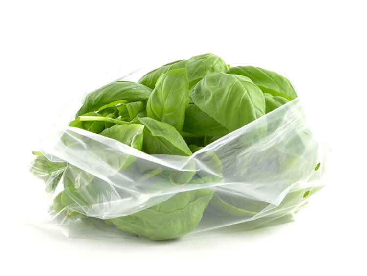 How To Store Fresh Basil with 5 Key Tips