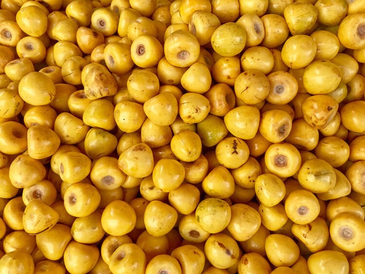 49 Foods That Start With N: Full List