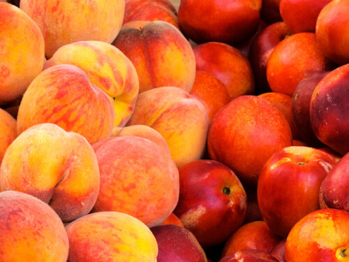 How to Ripen Nectarines Efficiently at Home