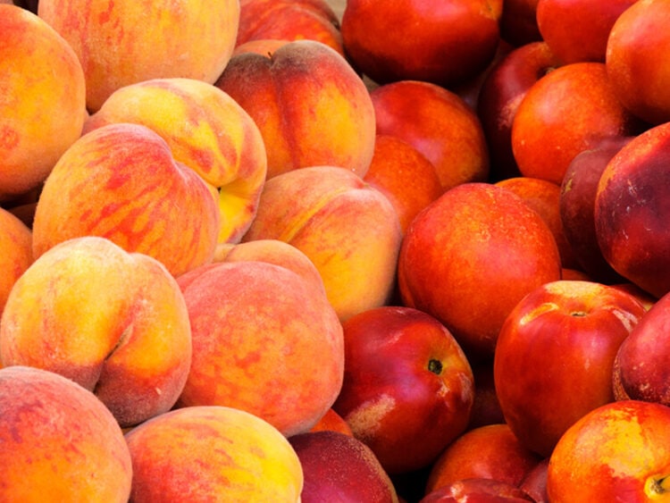 How to Ripen Nectarines Efficiently at Home