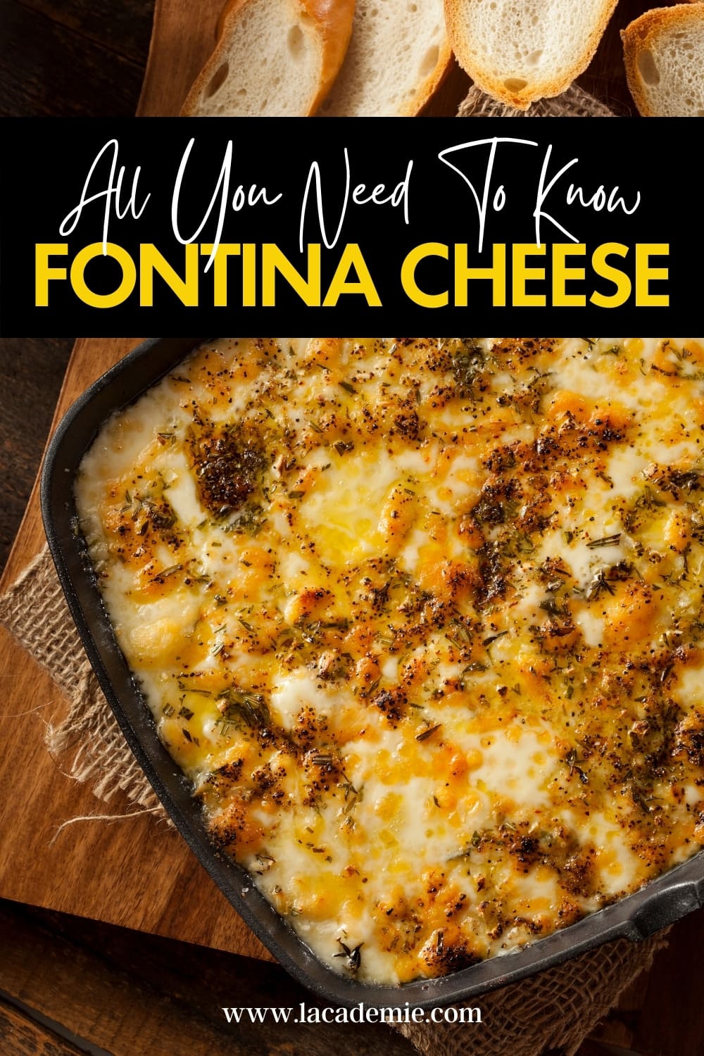 Fontina Cheese 101: Everything You Need to Know