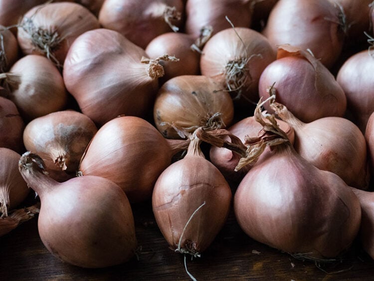 Shallots vs. Green Onions: Essential Culinary Tips