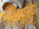 Do Popcorn Kernels Go Bad? How to Know If They're Bad