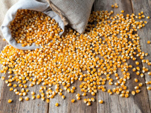 Do Popcorn Kernels Go Bad? How to Know If They're Bad