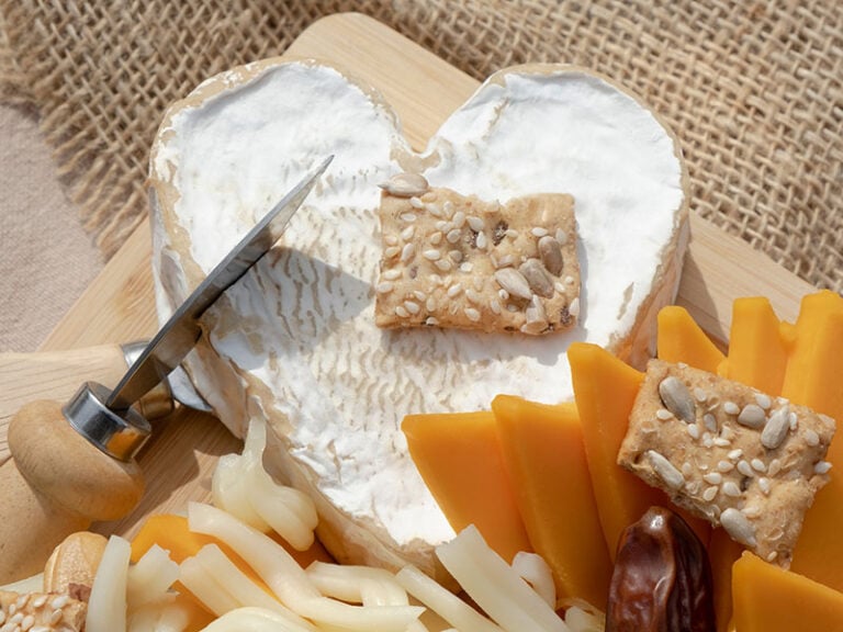 Neufchatel Cheese vs. Cream Cheese: The Main Differences
