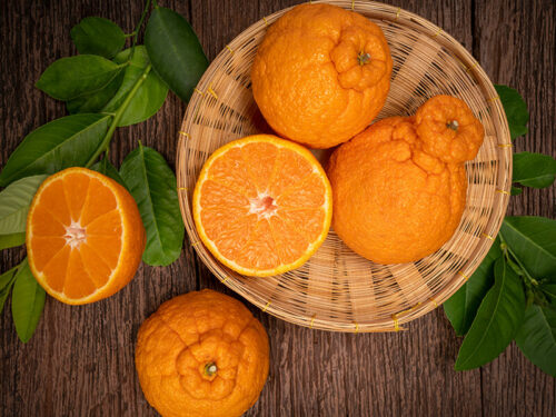 21 Nutritious Fruits That Start With D You Should Know