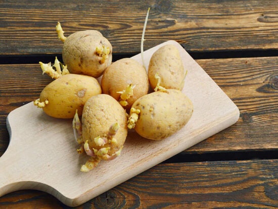 How to Determine If Potatoes Are Bad – A Surprising Guide