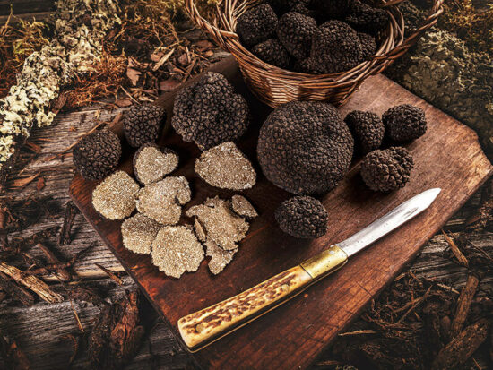 What Do Truffles Taste Like? An Exquisite Gourmet Exploration