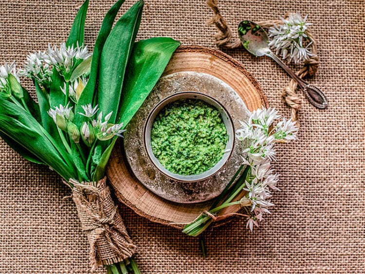 7 Effective Chives Substitutes for Your Recipes