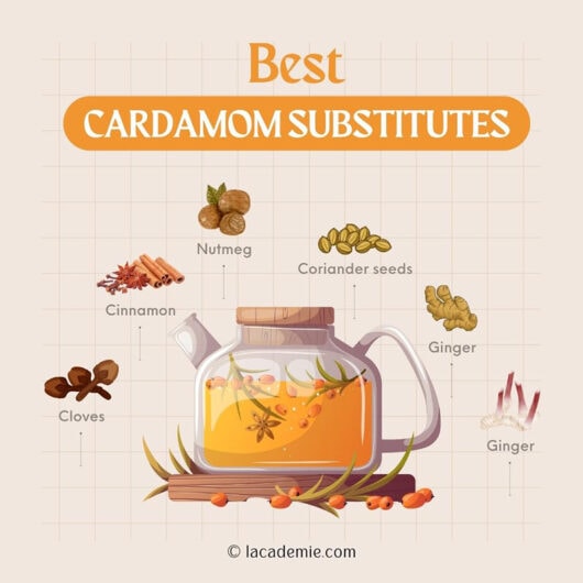 17 Best Cardamom Substitutes for Your Spice Rack