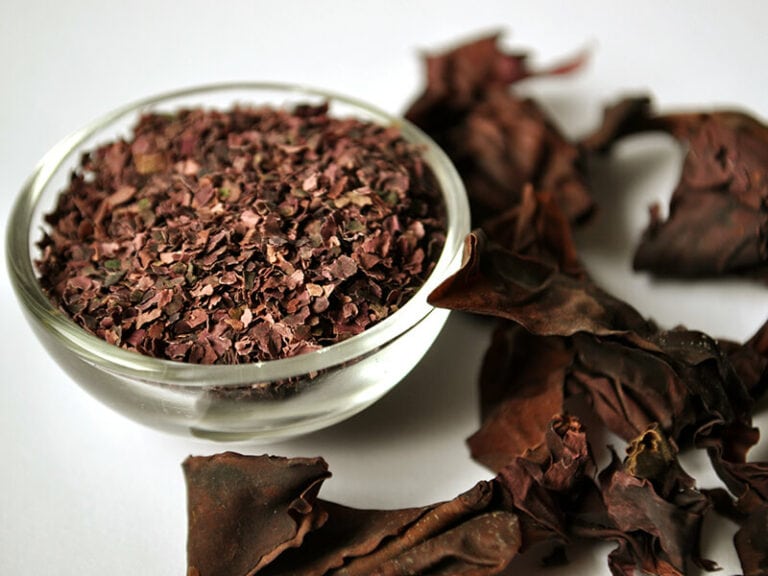 15 Best Replacements for MSG