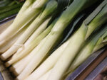 How To Store Leeks Properly: Keeping Leeks Fresh In 2023