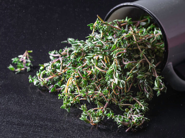 What Does Thyme Taste Like? A Culinary Guide