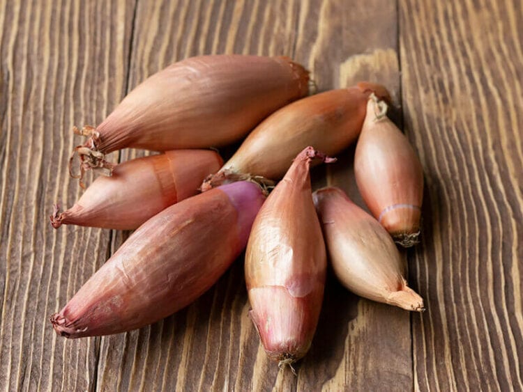 Scallions vs. Shallots - The Ultimate Comparison