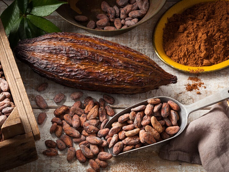 Does Cocoa Powder Go Bad: The Shocking Answer