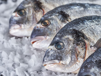 Where to Store Raw Fish in a Refrigerator? Optimal Guide
