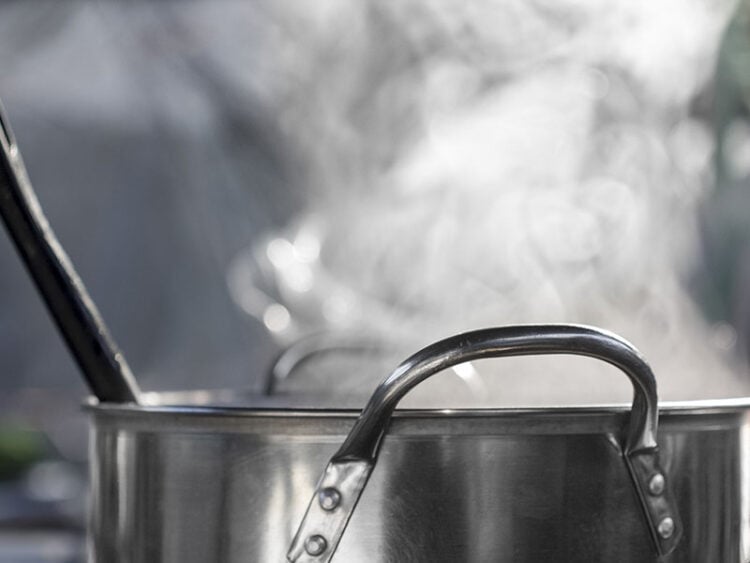 What To Do With Excess Basil: Tips & Tricks