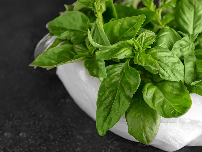 How To Store Fresh Basil - 5 Tips To Keep It Longer 2023