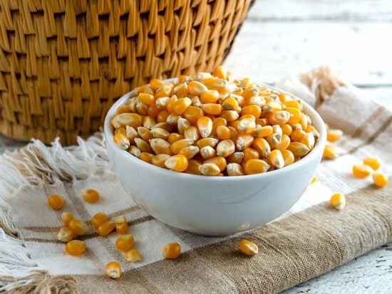 5 Types of Popcorn – A Comprehensive Guide to Distinguish Them