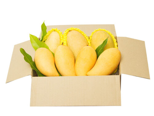 How To Store Mangoes - The Best Ways For 2023