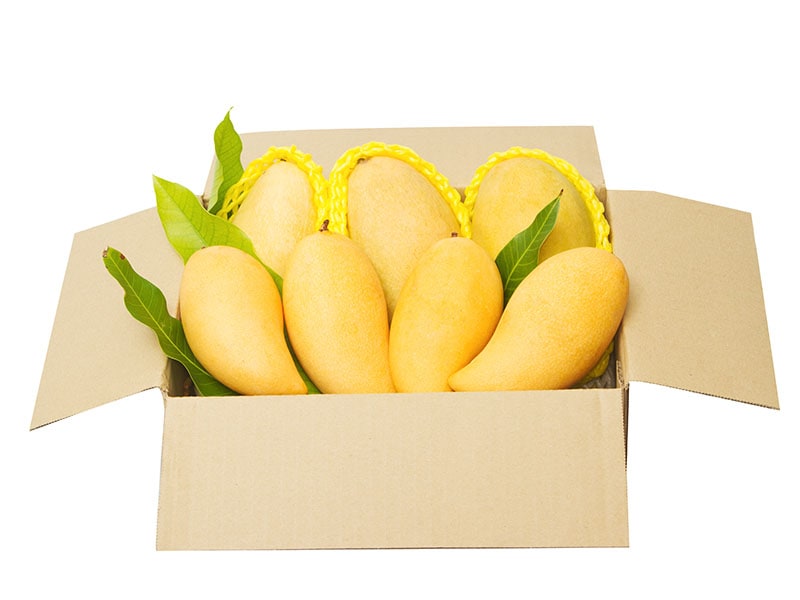 How To Store Mangoes - The Best Ways For 2023