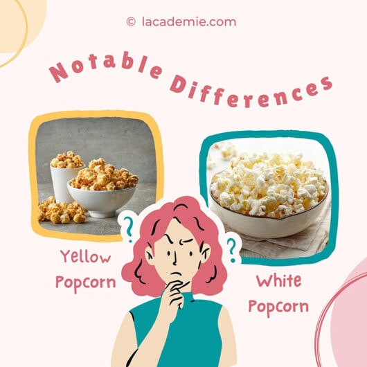 White Vs Yellow Popcorn , What’s the difference between white and ...