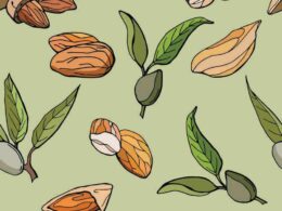14+ Types of Almonds You Need to Taste