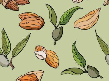 14+ Types of Almonds You Need to Taste