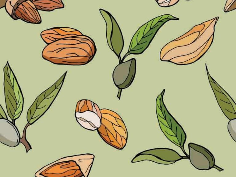 14+ Types of Almonds You Need to Taste