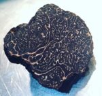 13 Different Types Of Truffles You May Want To Know In 2023