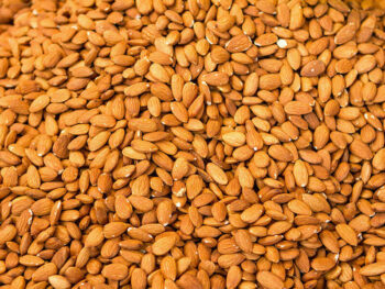 14+ Types of Almonds You Need to Taste