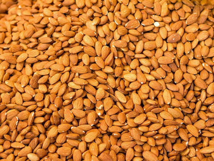 14+ Types of Almonds You Need to Taste