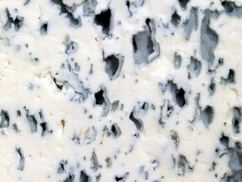 16+ Types of Blue Cheese to Discover