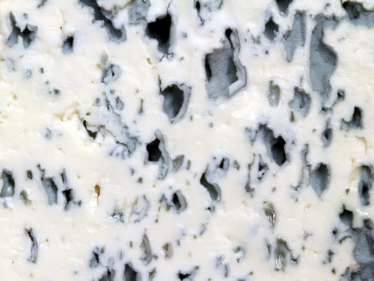 16+ Types of Blue Cheese to Discover