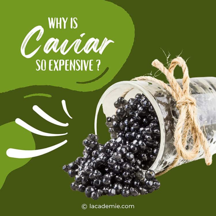 Why Is Caviar So Expensive? Discover the Secrets Behind Its Price