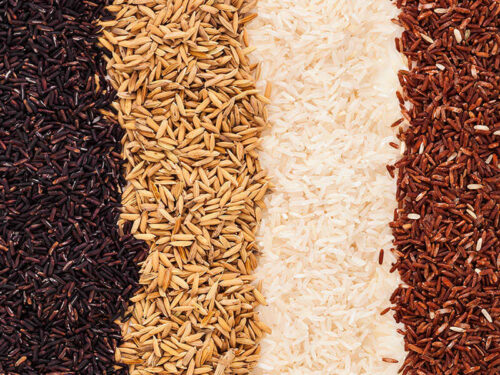 How to Store Rice: Efficient Ways for Long-Lasting Freshness
