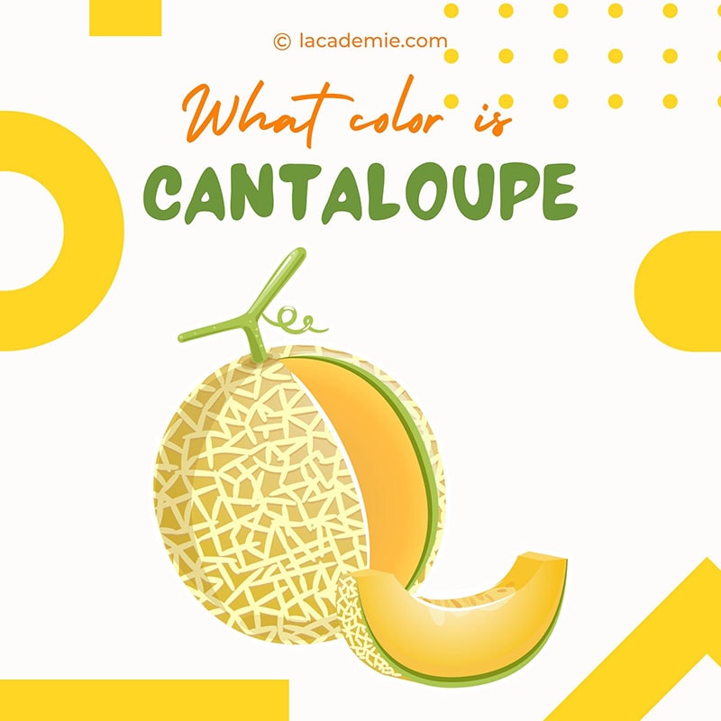 What Color Is Cantaloupe Melon Picking Guide 2023