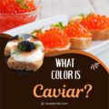 What Color Is Caviar? Interesting Facts You Need to Know