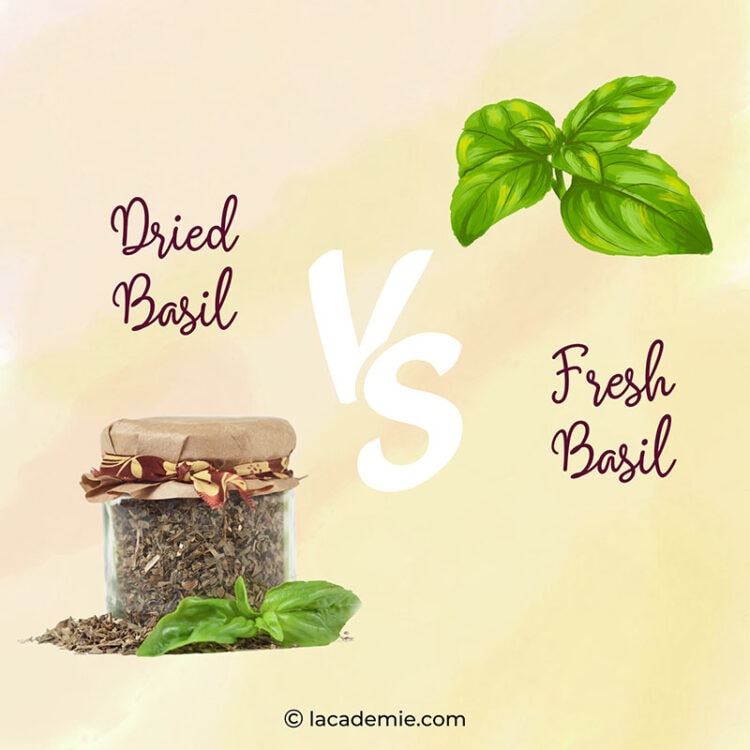 Fresh Basil vs. Dried Basil – Key Differences and Uses