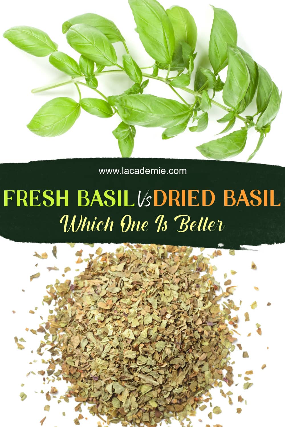 Fresh Basil vs. Dried Basil – Key Differences and Uses