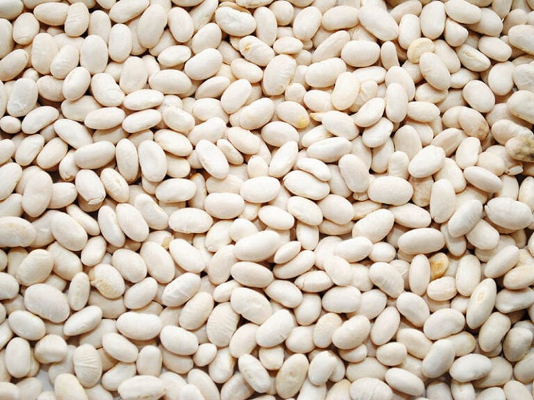 23 Different Types of Beans to Discover for Healthy Eating