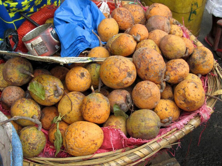 Senegalese Food Guide: 22 Must-Tries